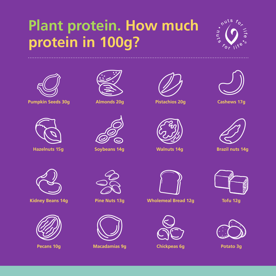 Nuts are good plant-based sources of protein - Bowral Nutrition